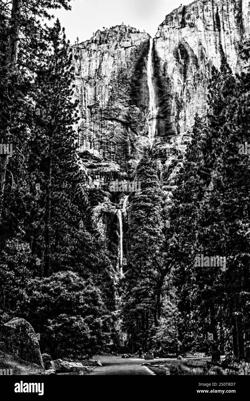 A black and white photo of a waterfall surrounded by trees. Scene is ...