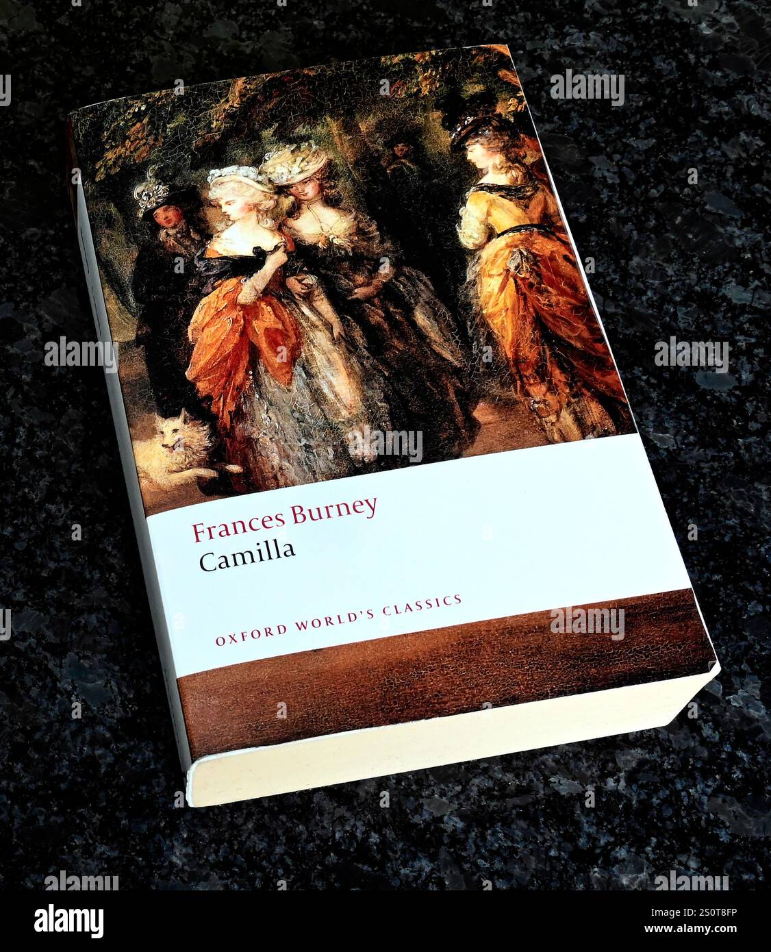 Book cover "Camilla" by Frances Burney Stock Photo - Alamy