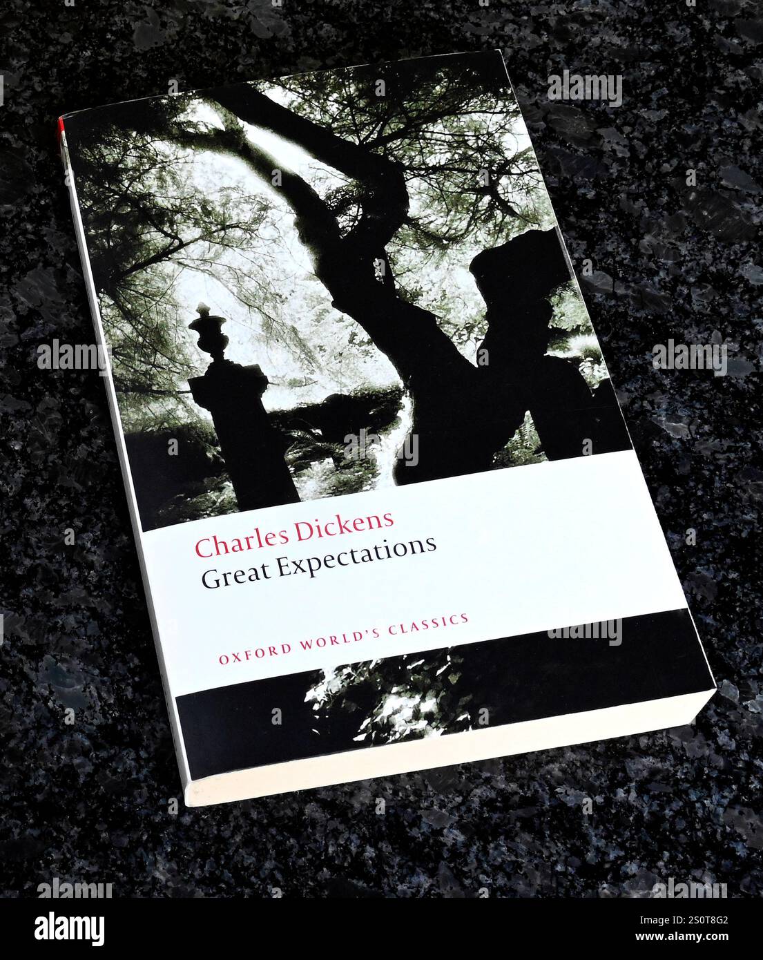 Book cover. "Great Expectations" by Charles Dickens Stock Photo - Alamy