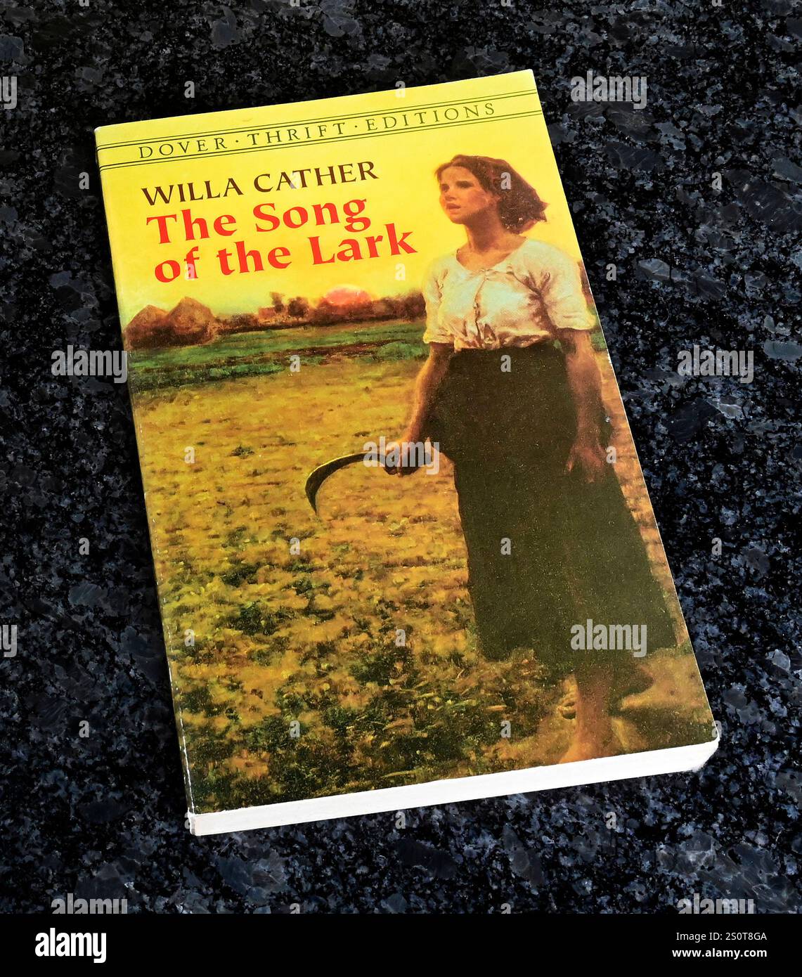 Book cover. "Song of the Lark" by Willa Cather Stock Photo - Alamy
