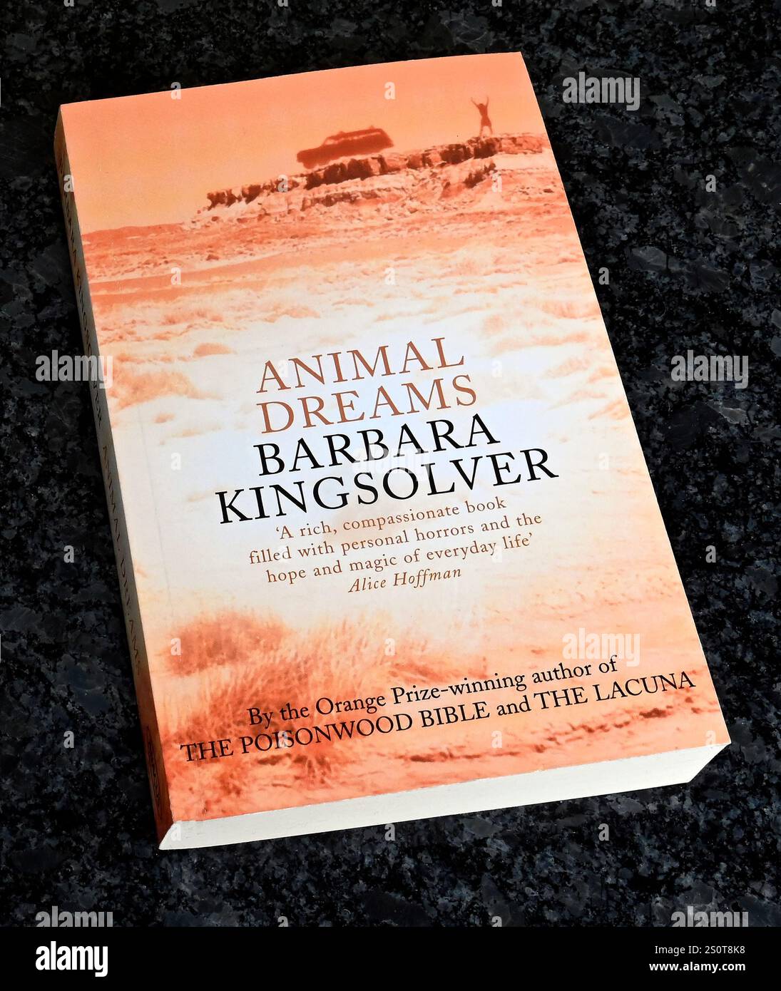 Book cover. "Animal Dreams" by Barbara Kingsolver. Faber Stock Photo ...