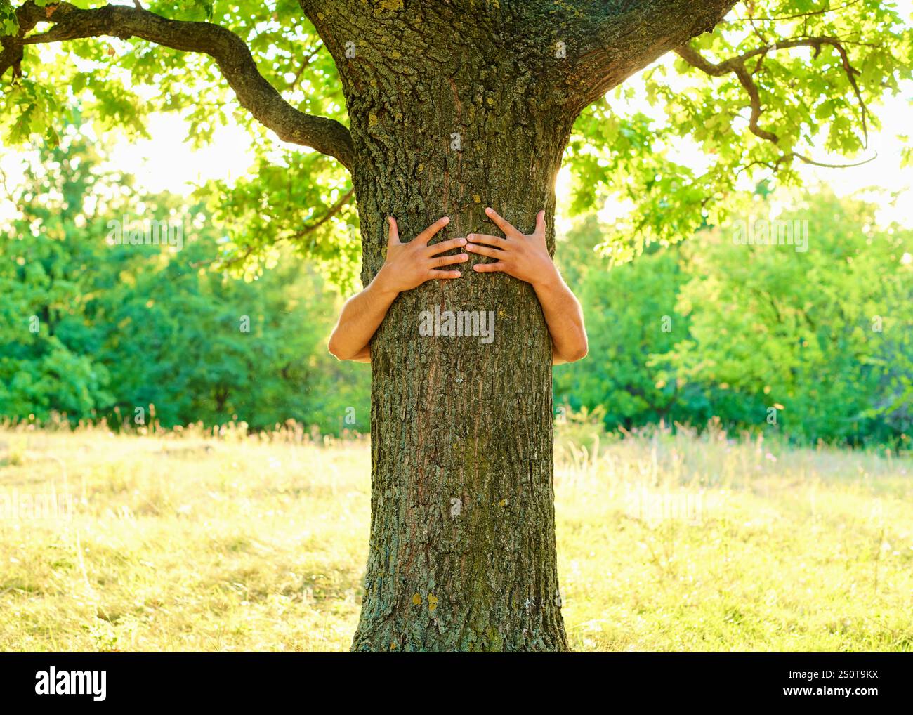 A powerful and heartwarming image of human hands wrapped around a tree ...