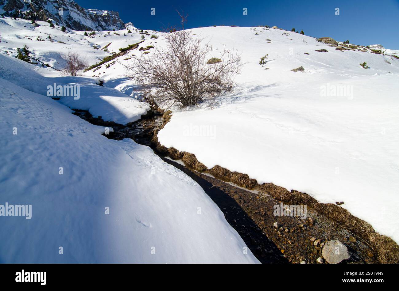 Snowed area of La Partacua, in Tena Valley, Huesca Pyrenees, Aragon ...
