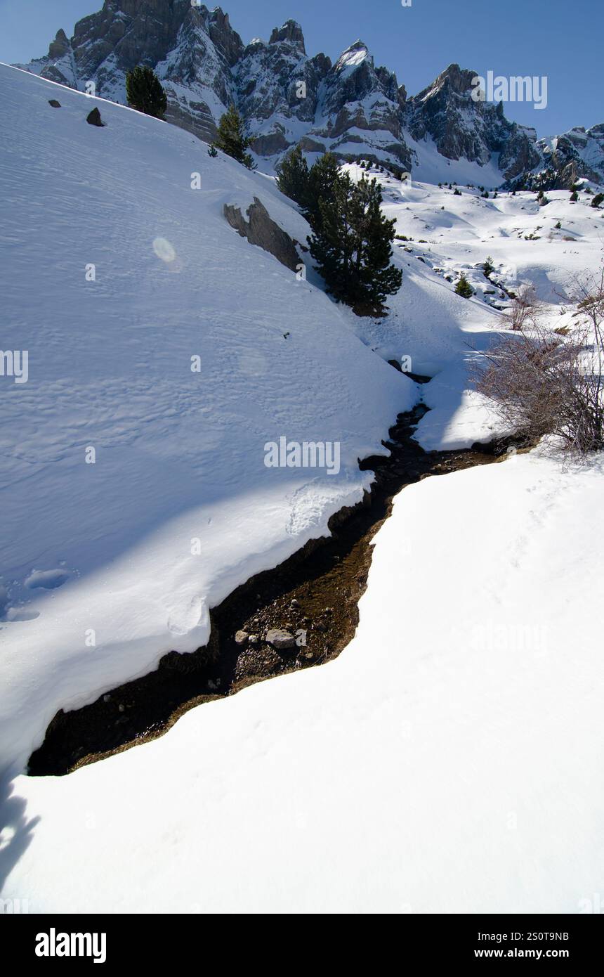 Snowed area of La Partacua, in Tena Valley, Huesca Pyrenees, Aragon ...