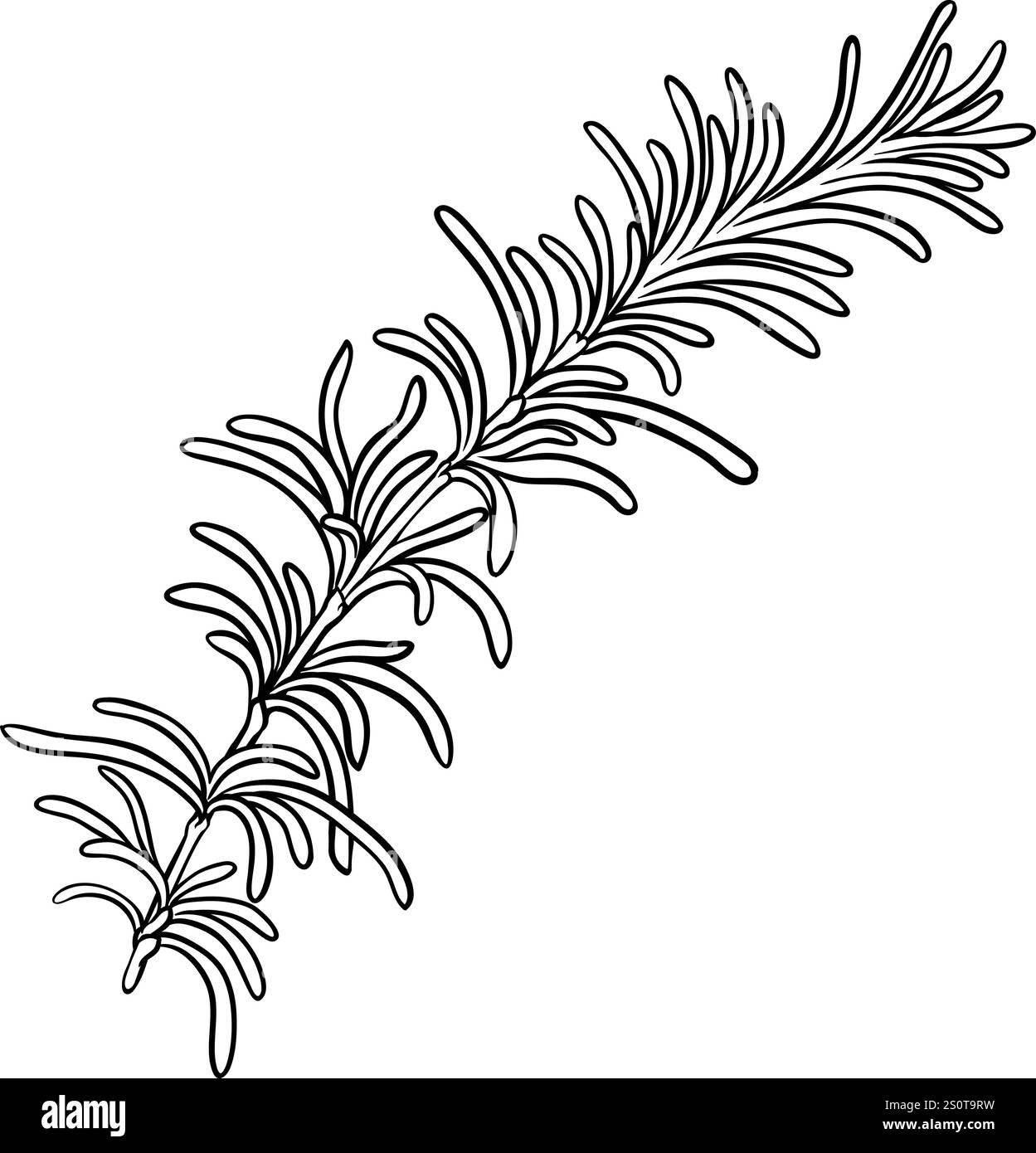 Line art cosmetics Black and White Stock Photos & Images - Alamy