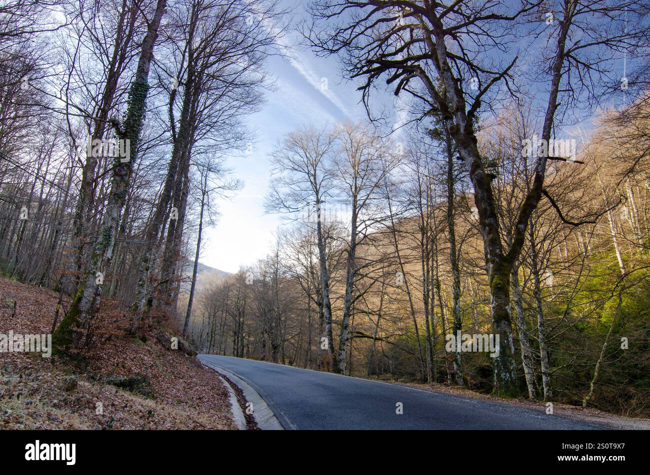 Arce Valley road crossing the forest and Urrobi river. Navarre, Spain ...