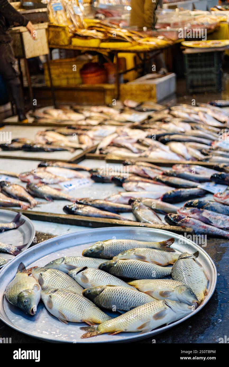 "A vibrant fish market in Rasht, Gilan Province, Iran. Freshly caught ...