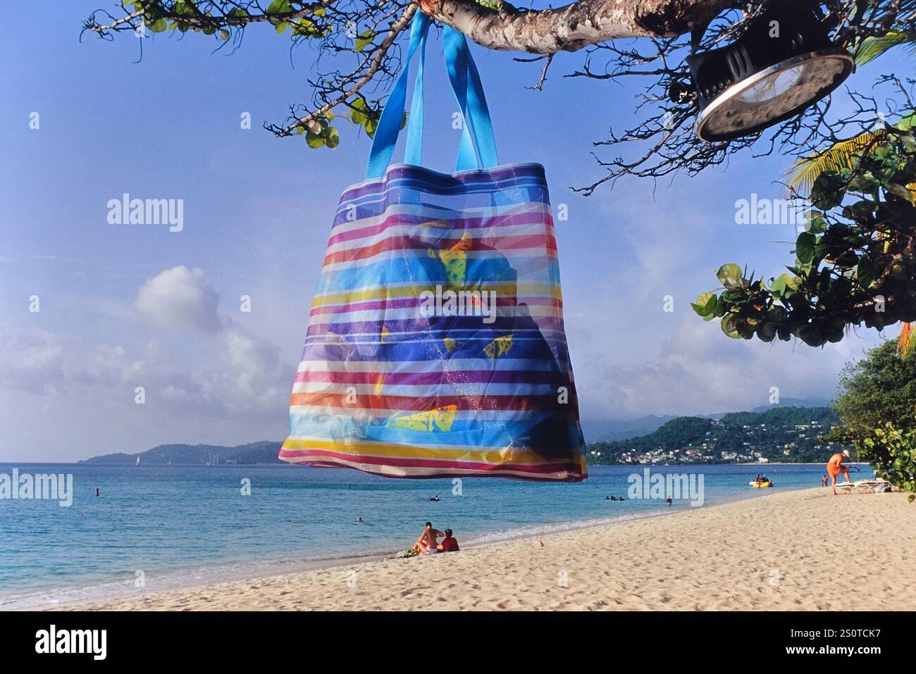 A colourful beach bag hung up on a tree, Grand Anse beach bay. Grenada. Caribbean Stock Photo ...