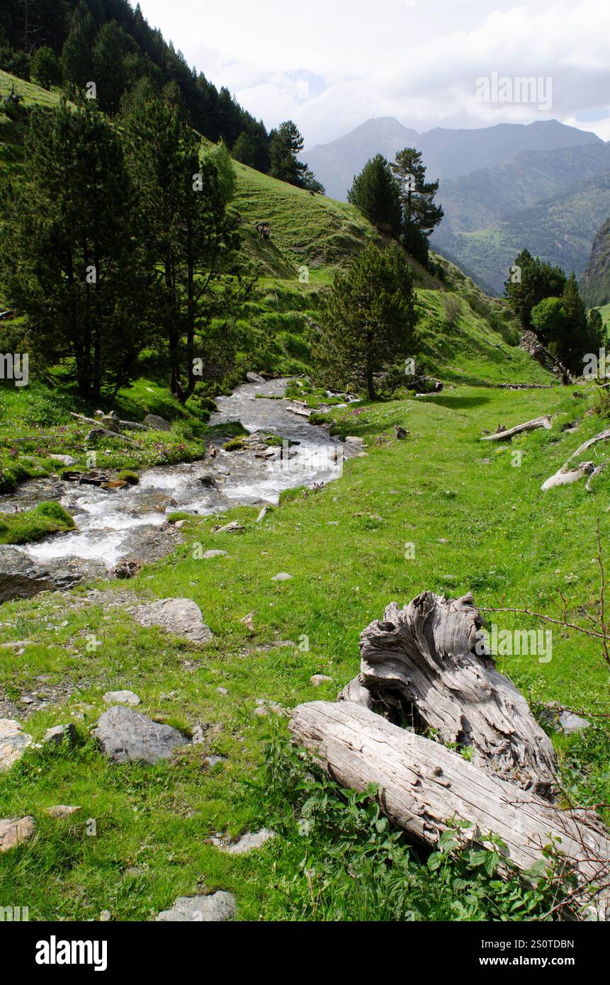 Tor Valley is located at the L'Alt Pirineu Nature Park. Lleida ...