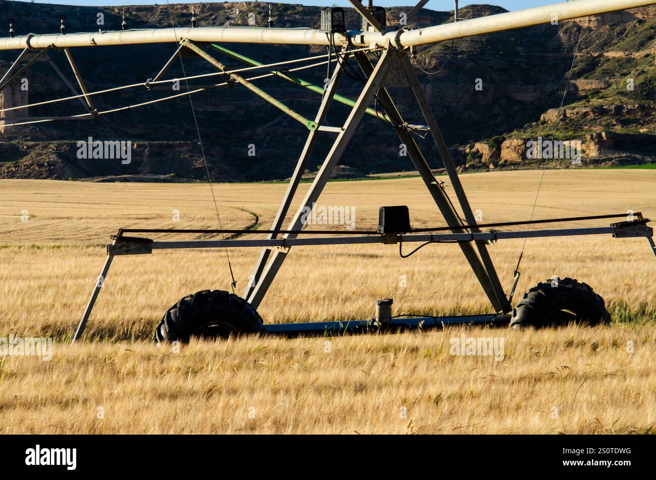 Wheat fields in Monegros agriculture. Spring. Aragon. Spein Stock Photo ...