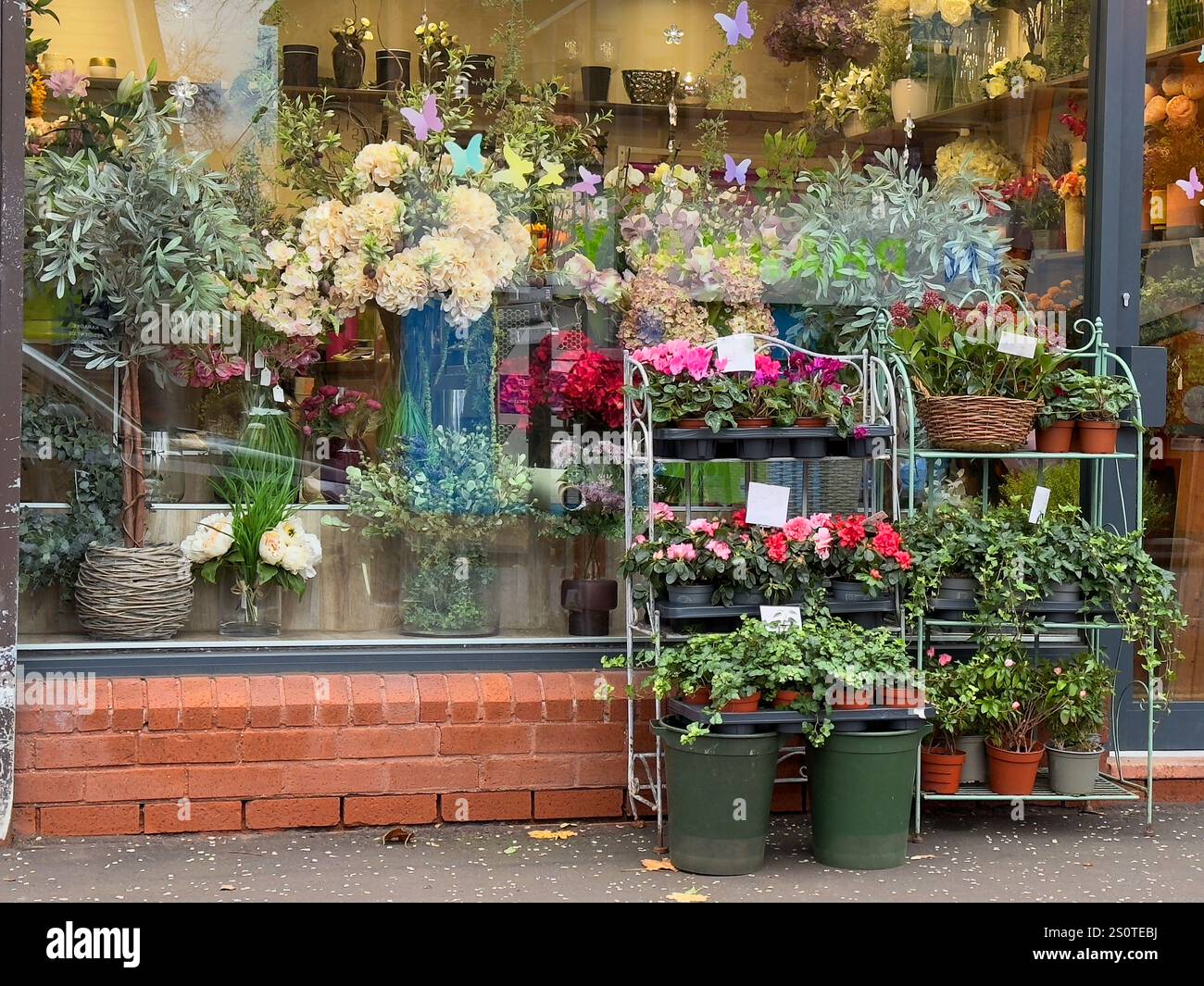 Flower shop window display on high street Stock Photo - Alamy