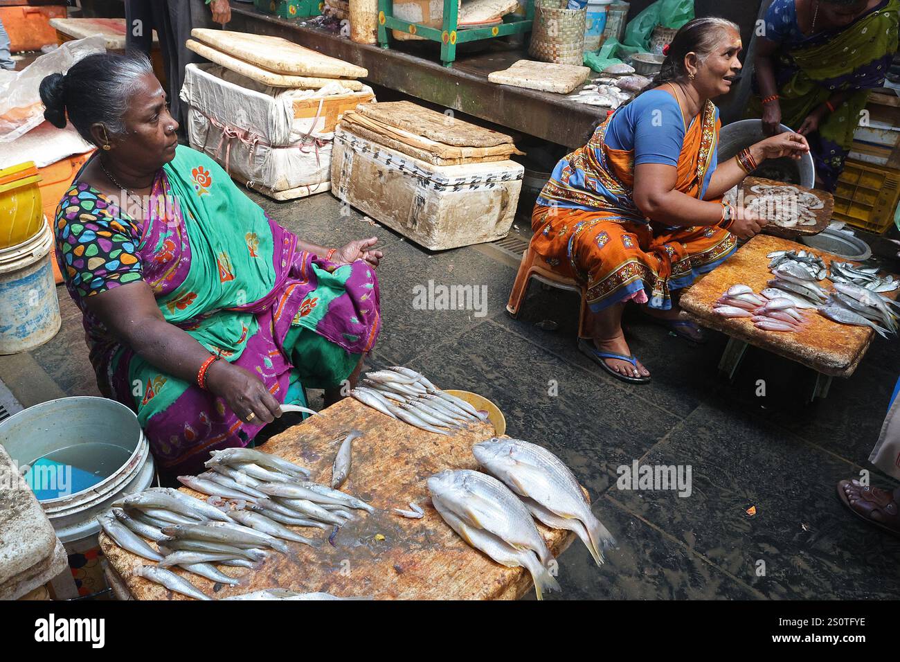 Fish market at Pondicherry, India Stock Photo - Alamy