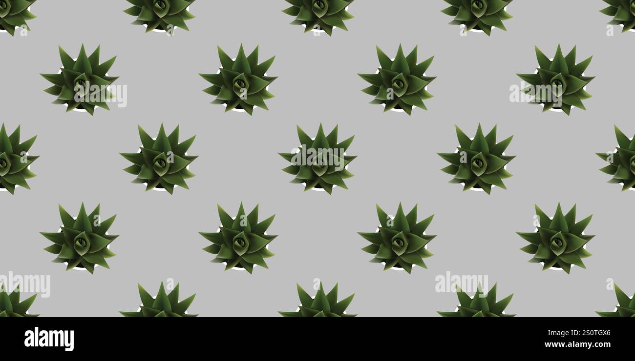 Seamless Texture of Many Green Ornamental Plants in Flowerpot, Above ...