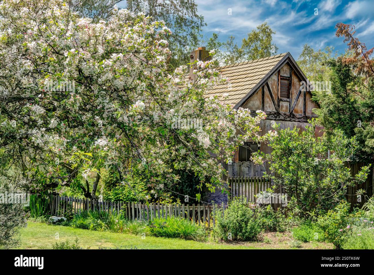 Flowering trees and green foliage with green cottage and fence in ...