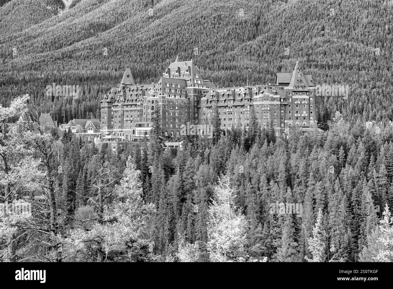 Fairmont Banff Springs Castle in summer season Stock Photo - Alamy
