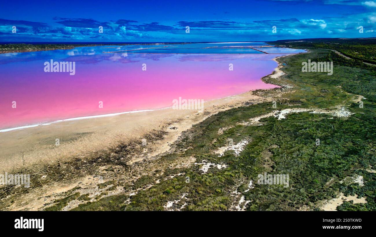 Vibrant pink hues of Hutt Lagoon captured from above, a natural wonder ...