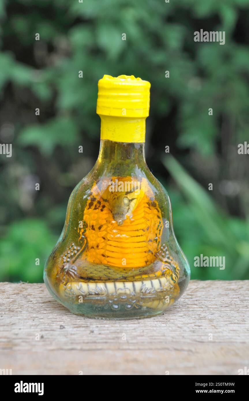Snake in a bottle of alcohol Stock Photo - Alamy