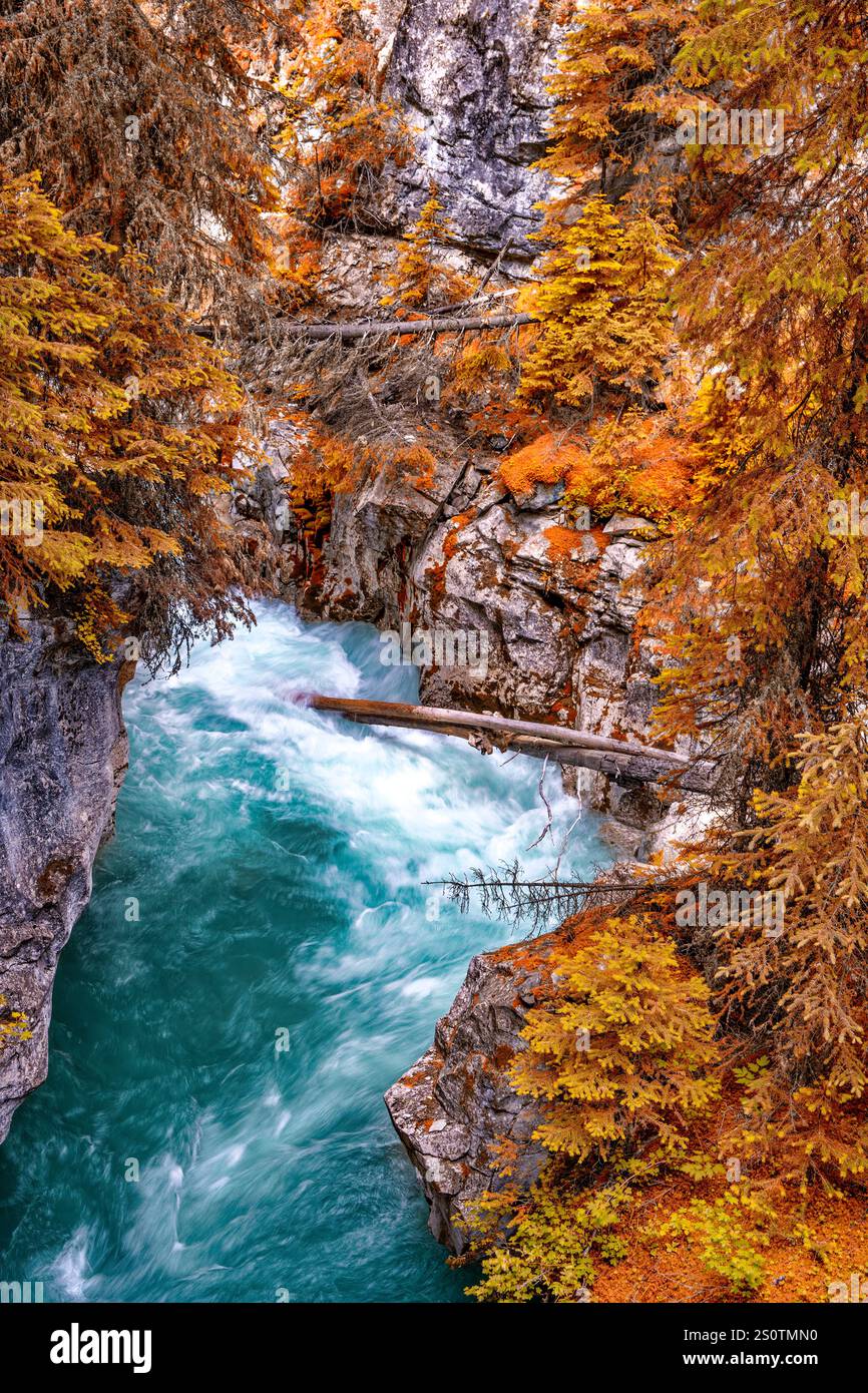 Scenic Trails and Waterfalls of Johnston Canyon, Banff Stock Photo - Alamy