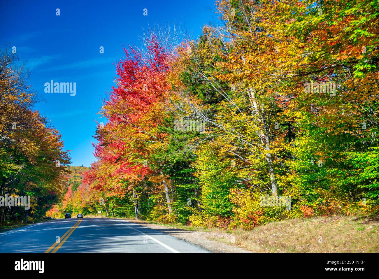 Autumn Bliss in Acadia National Park, Maine, with Stunning Fall Foliage ...