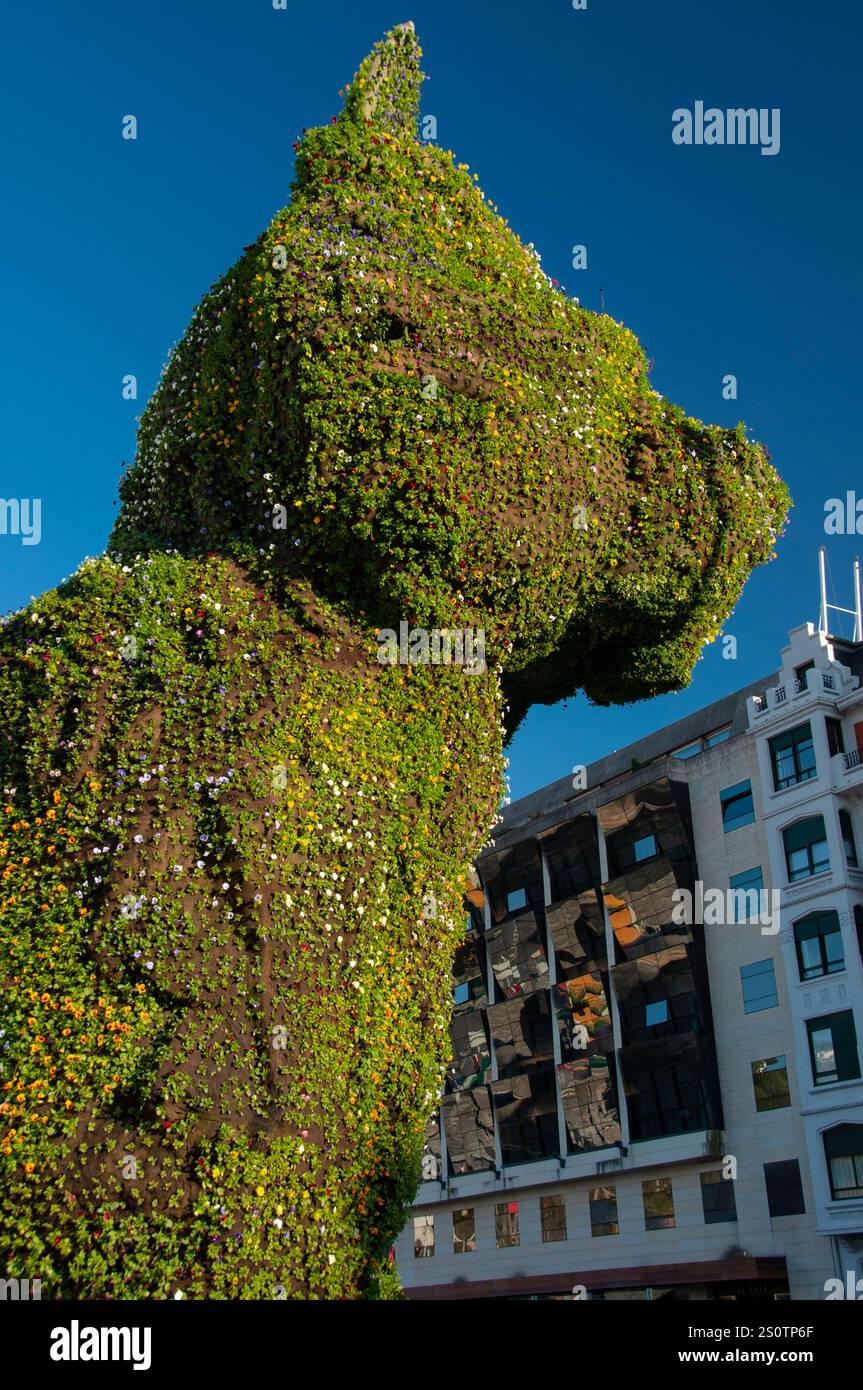 The Guggenheim Museum Bilbao, designed by the architect Frank Gehry, is ...