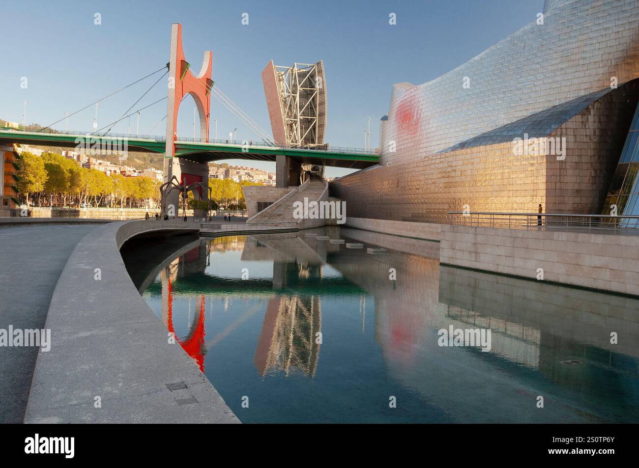 The Guggenheim Museum Bilbao, designed by the architect Frank Gehry, is ...