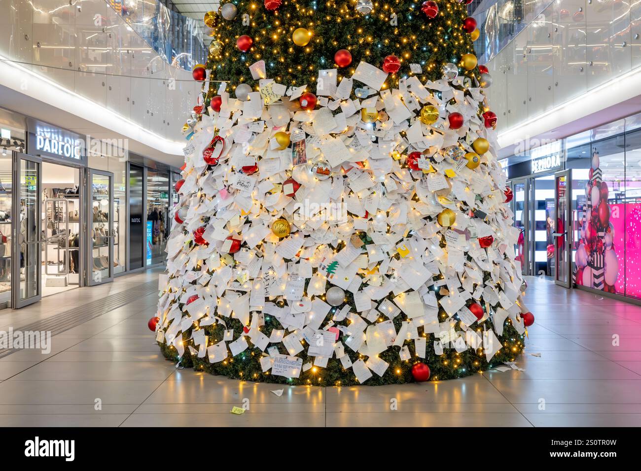 Rome, Italy - December 27, 2024: Majestic Christmas tree set up inside ...