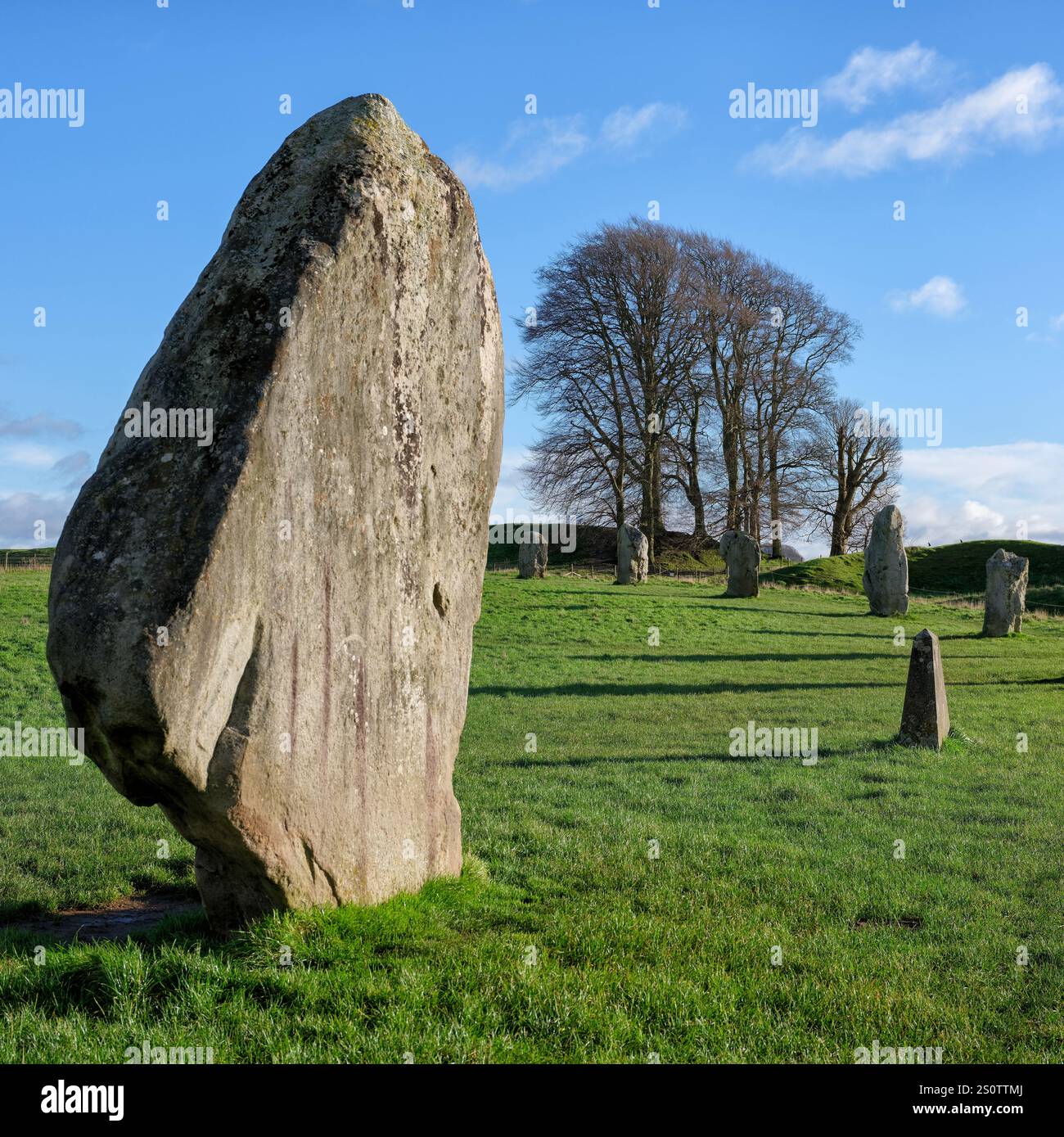 Sarsen standing stones of the outer ring of Avebury neolithic henge and ...