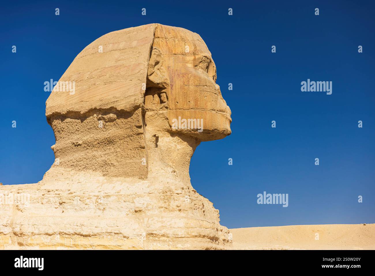 Panoramic view of the great Sphinx of Giza sculpted in limestone ...