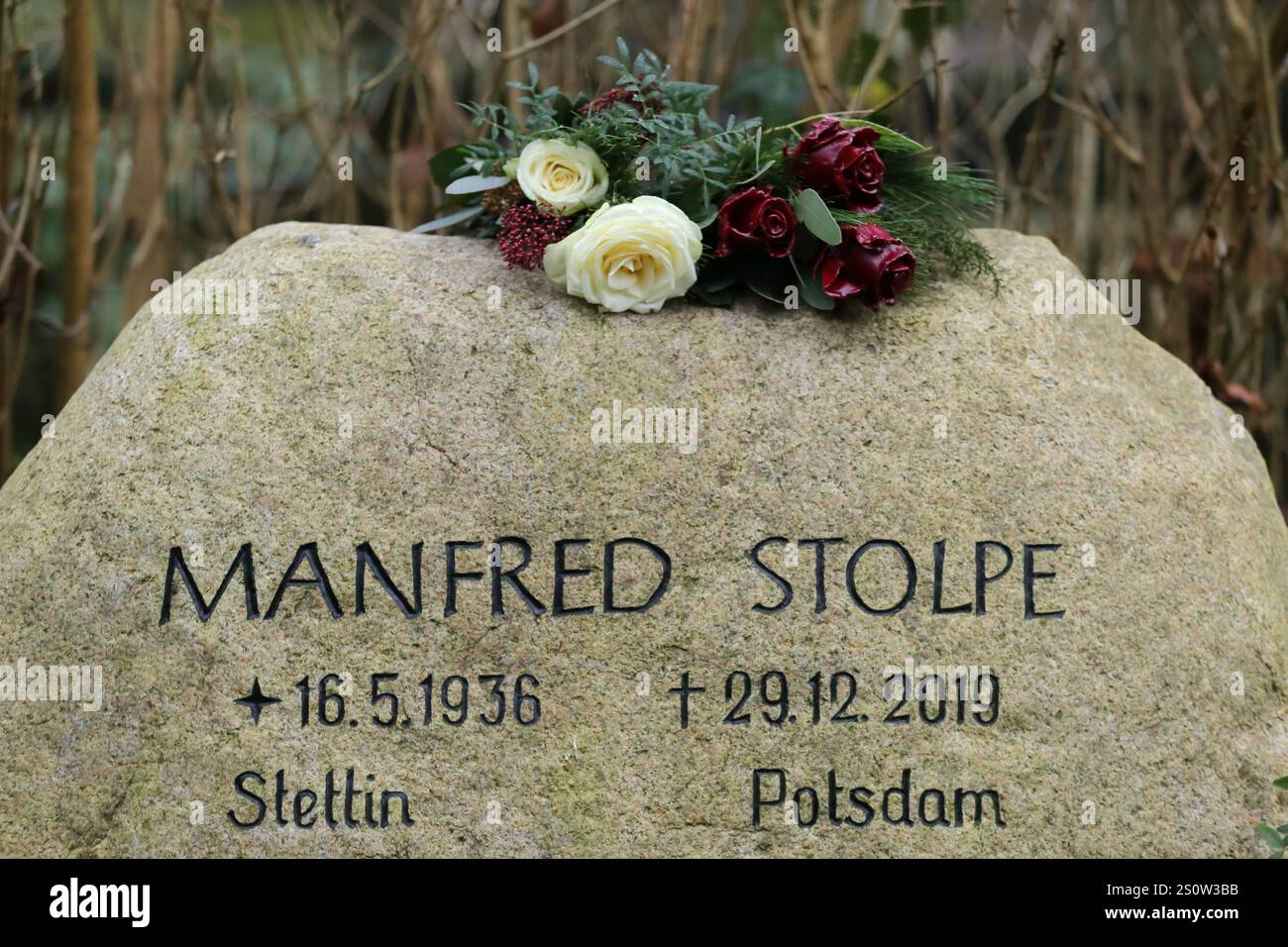 Rosen am Grab von Manfred Stolpe zu dessen 5. Todestag auf dem ...