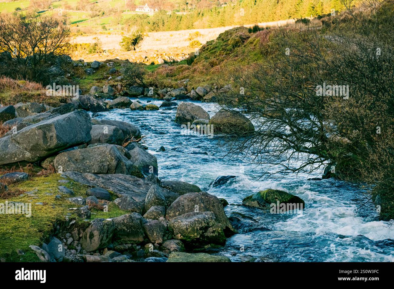A tranquil river flows swiftly over large boulders surrounded by lush ...