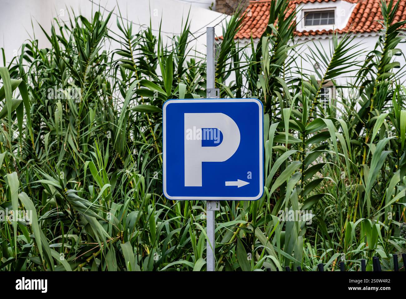 A blue sign with a white arrow pointing to the right and the word P on ...
