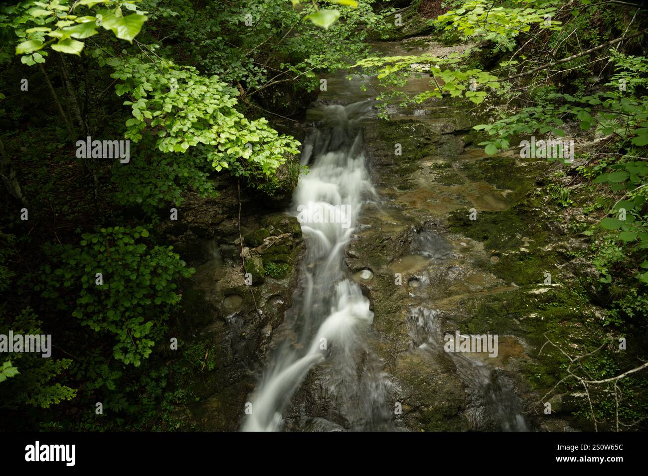 enjoy peace and quiet at the waterfall Stock Photo - Alamy