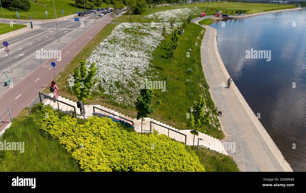 Aerial view of a riverside park with a bike path, trees, and a field of ...