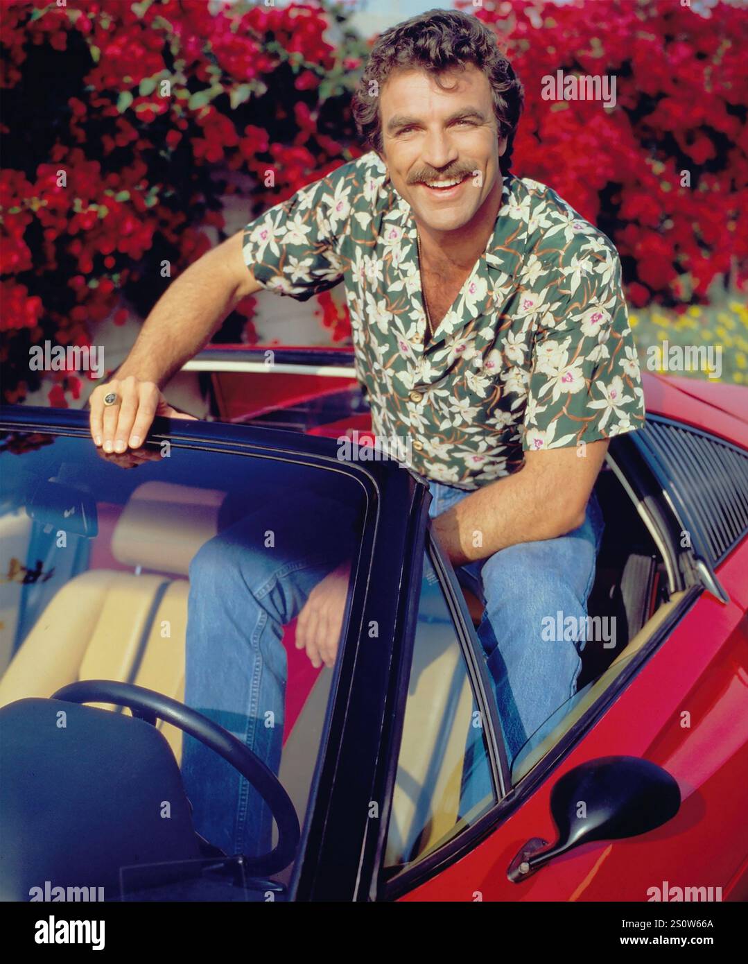 Tom selleck magnum hi-res stock photography and images - Alamy