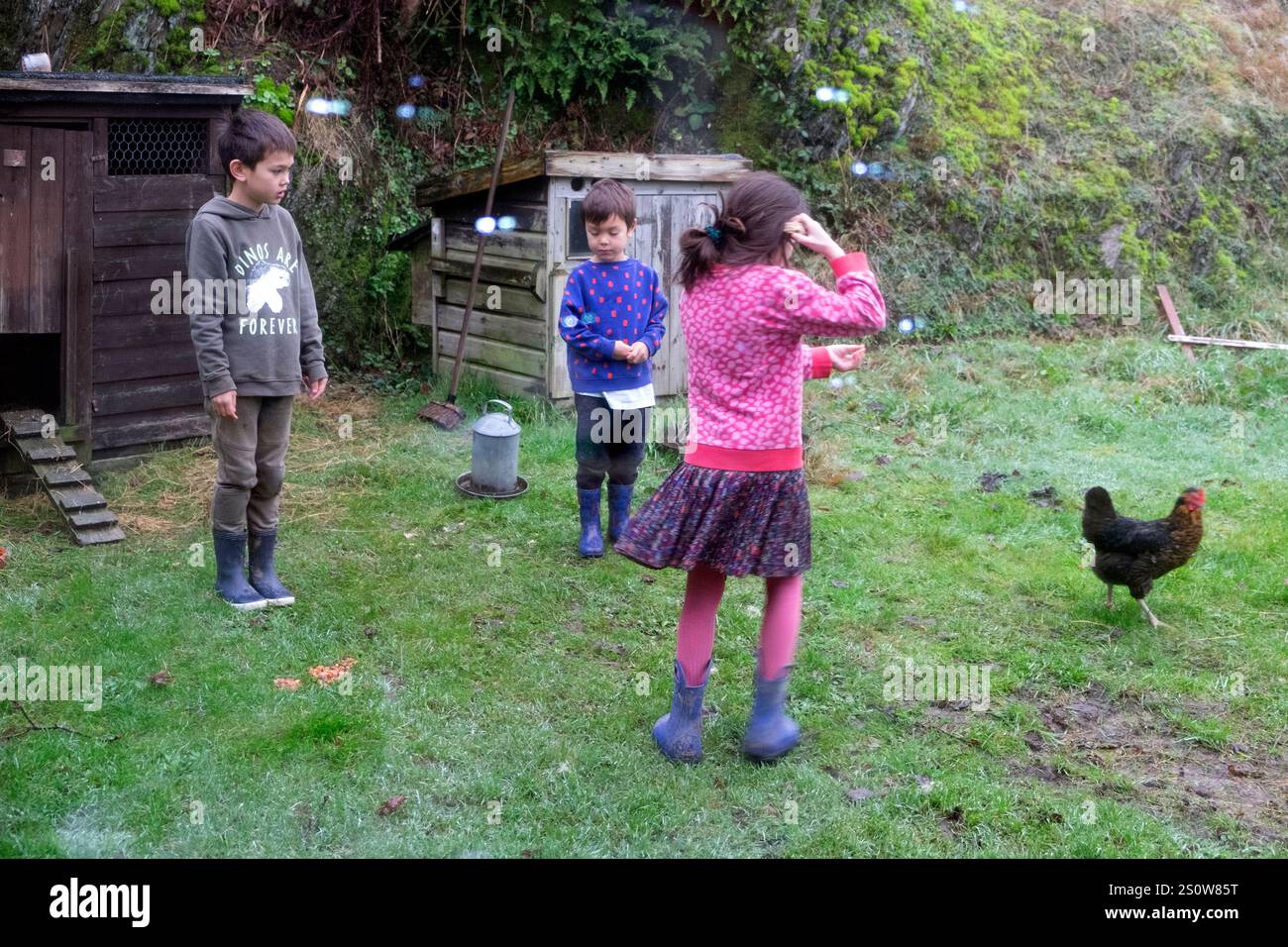 Child chicken garden uk hi-res stock photography and images - Alamy