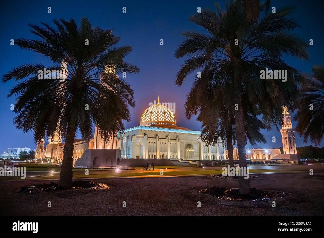 Große Sultan-Qabus-Moschee bei Nacht *** Great Sultan Qabus Mosque at ...