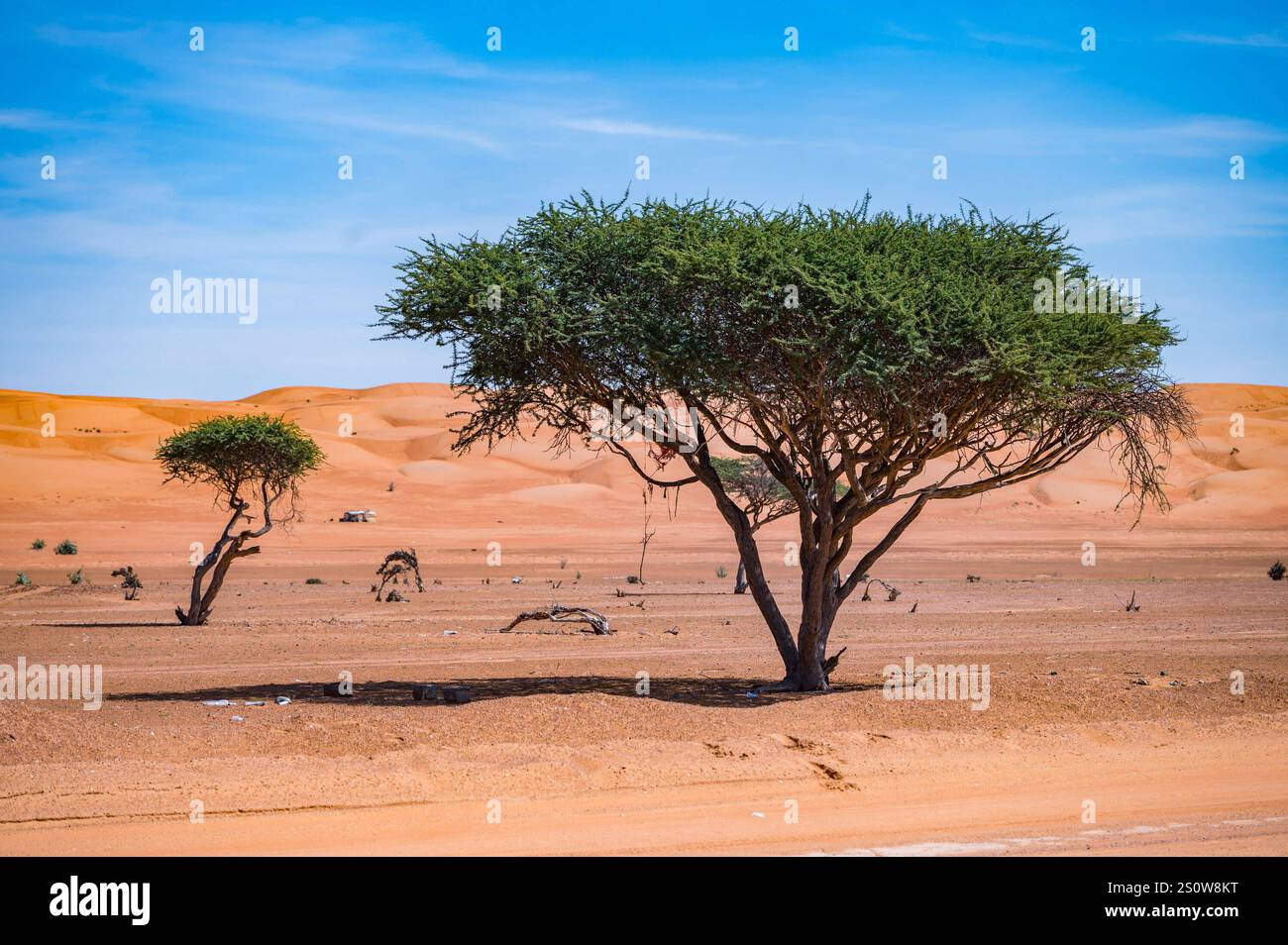 Rimal Al Wahiba / Wahiba Sands *** Rimal Al Wahiba Wahiba Sands Stock ...