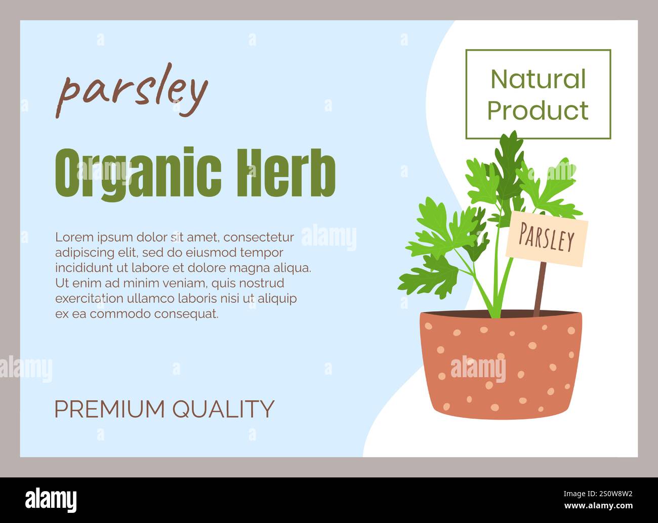 Parsley culinary herb label Stock Vector Images - Alamy