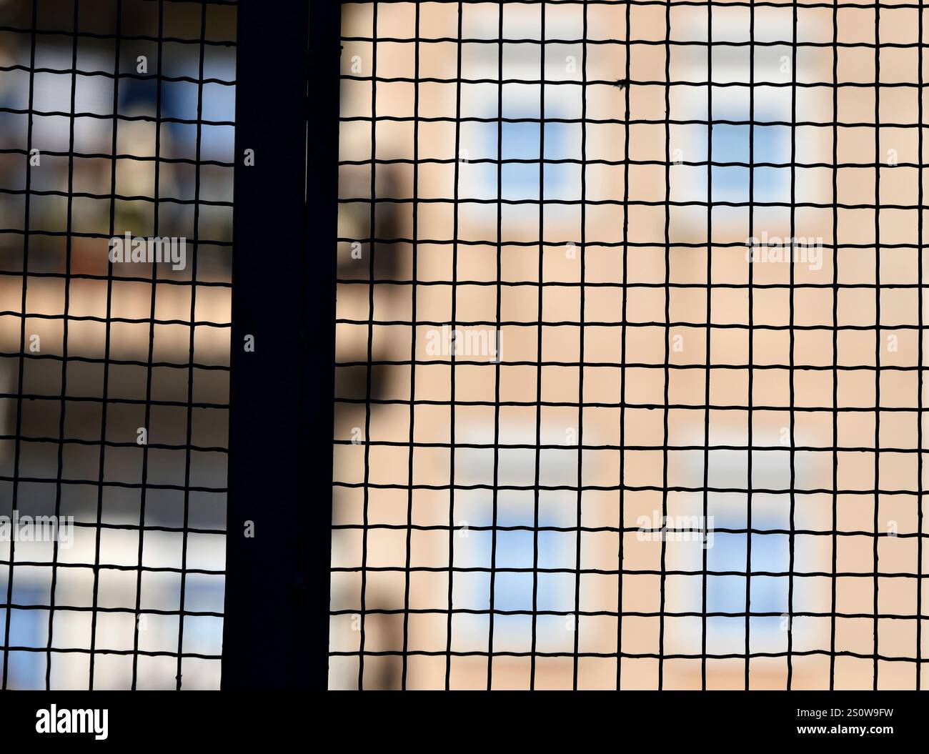 Blurred Boundaries: Building Wall and Windows Through a Grid Stock ...