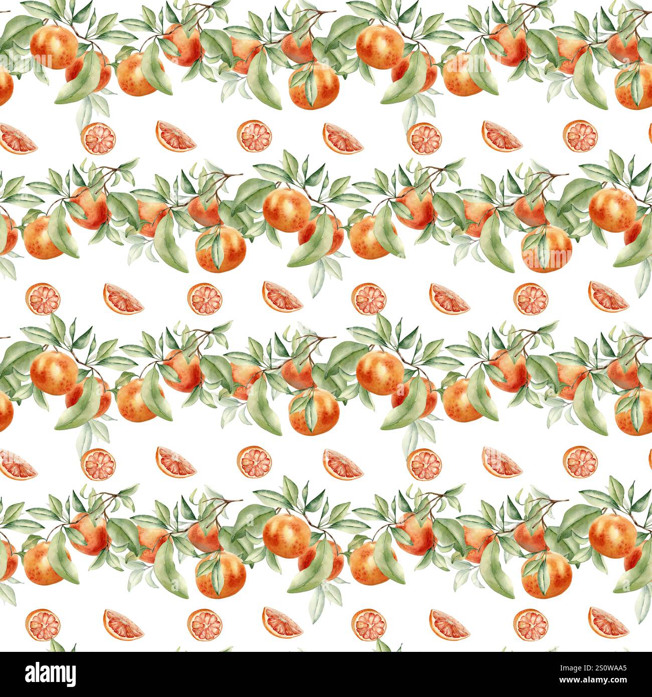 Grapefruits on branches of fruit tree seamless background isolated. Horizontal Botanical Pattern ...