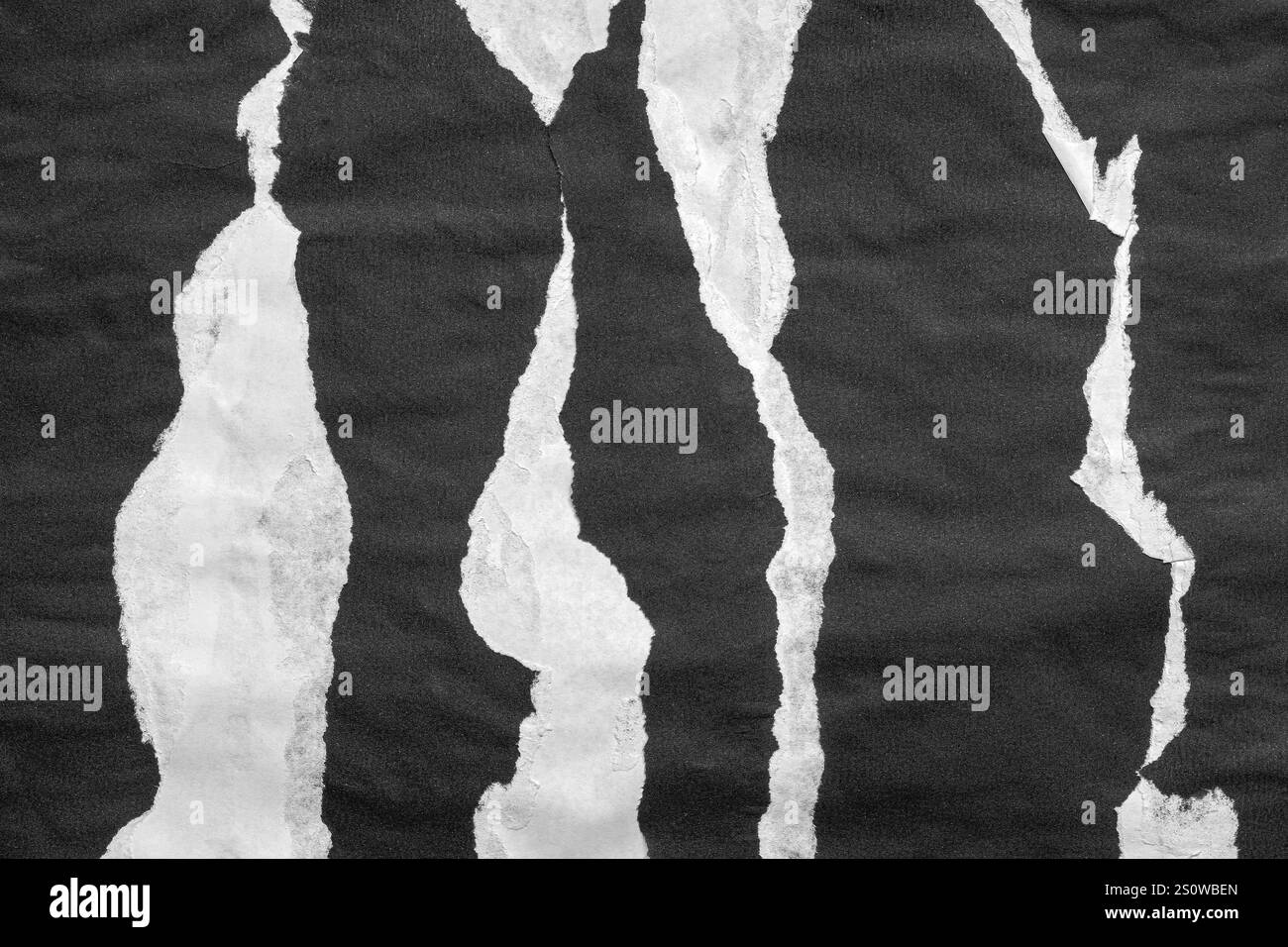 Black and White Torn Paper Collage Style, Ripped Paper Effect, Texture ...