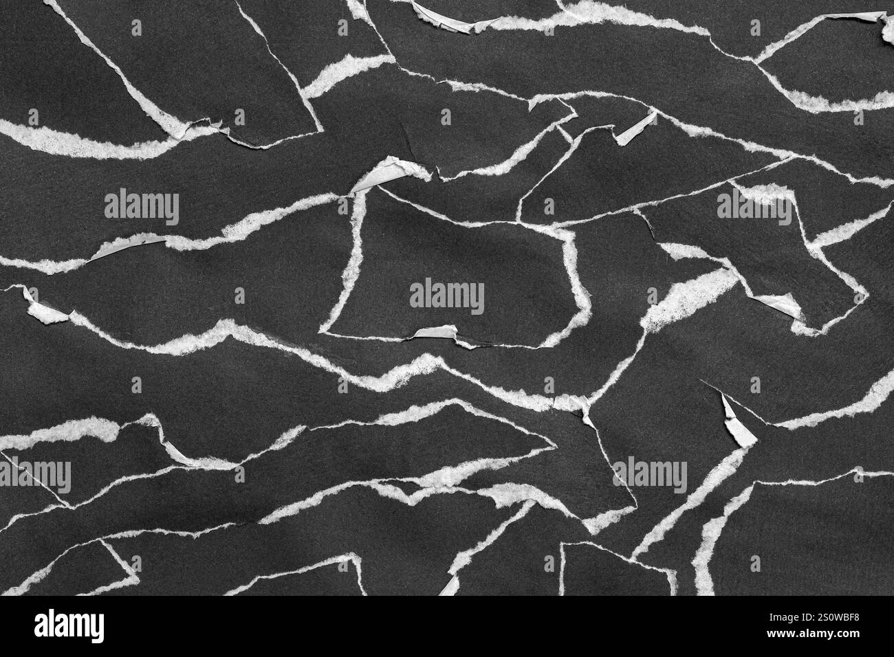 Black and White Torn Paper Collage Style, Ripped Paper Effect, Texture ...