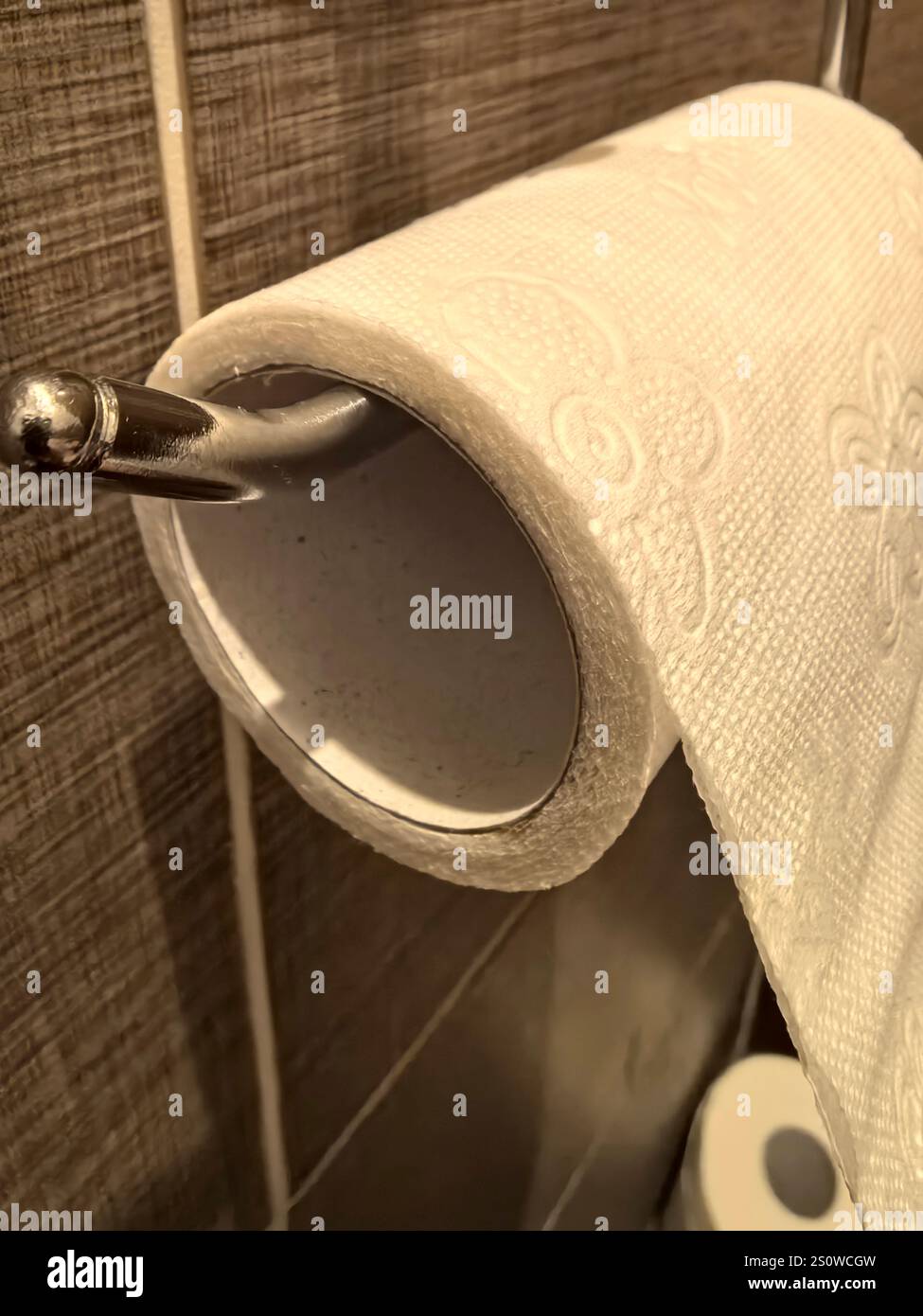 A close-up view of a paper towel roll elegantly placed on a sleek ...