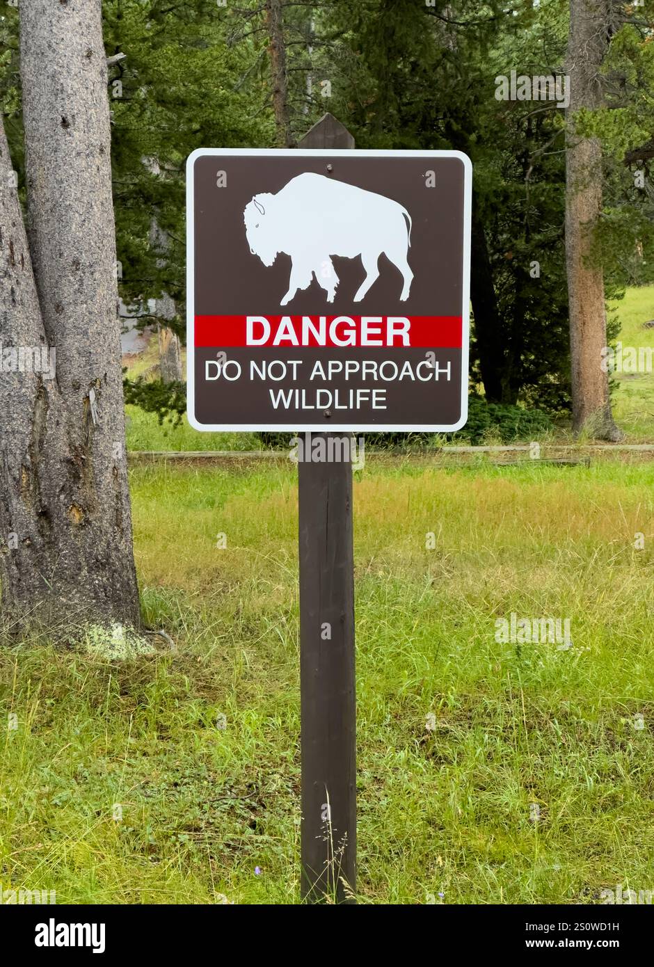Danger Do Not Approach Wildlife Sign In Yellowstone Parking Lot in ...
