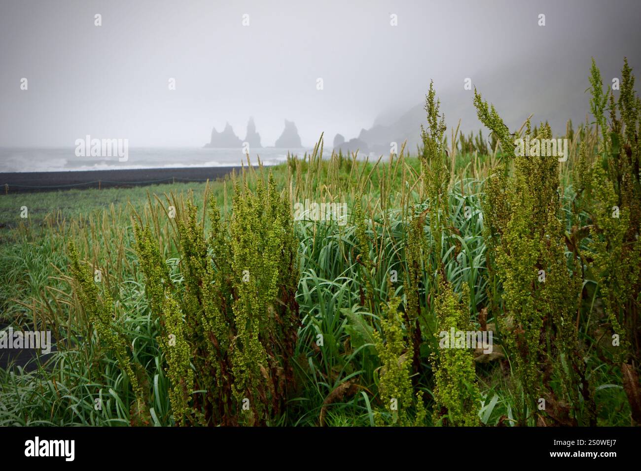 Reynisdrangar seastacks hi-res stock photography and images - Alamy