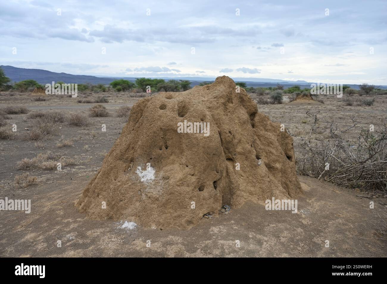 African landscape with termite mound against the dramatic sky in the ...