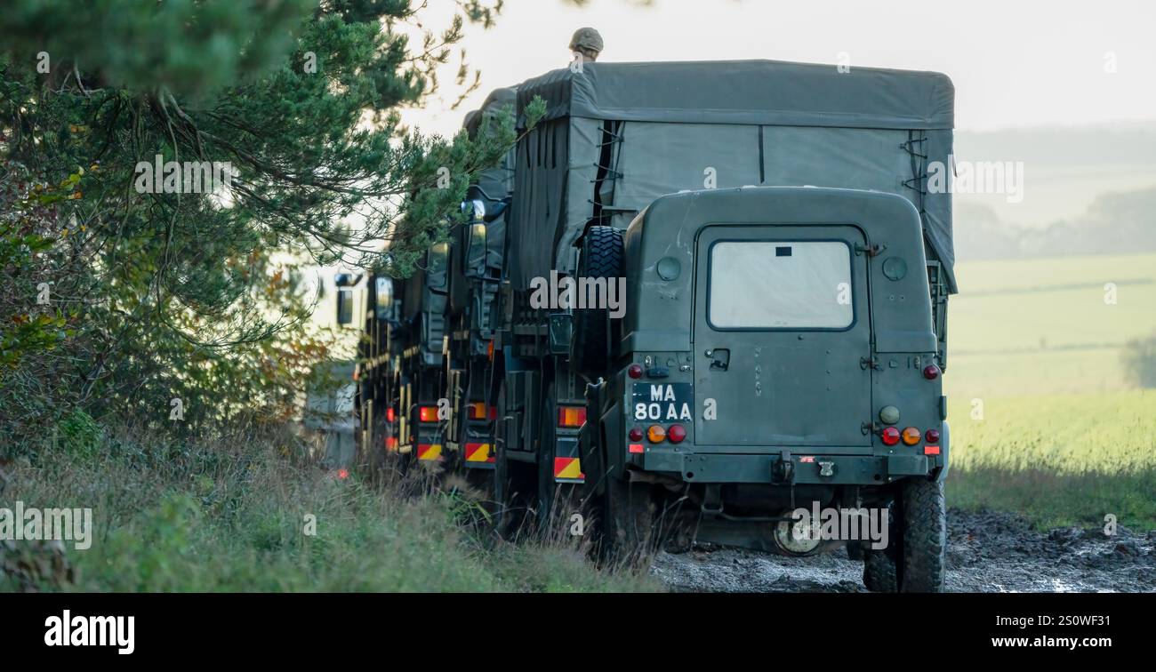 convoy of British army Heavy Utility Trucks take cover along a tree ...