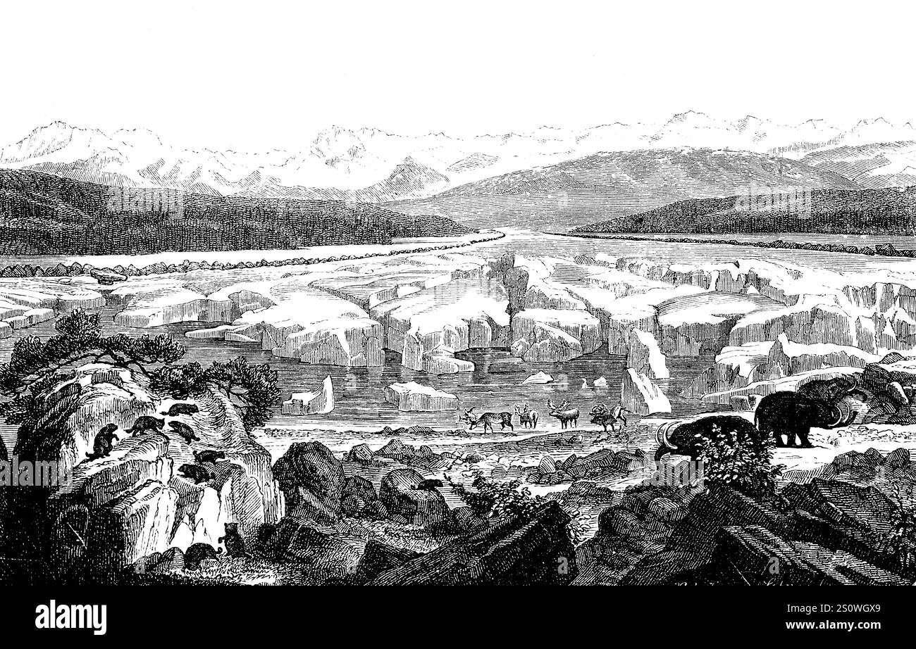 Frozen Alps landscape near Zurich during the ice age, glaciers, animals ...