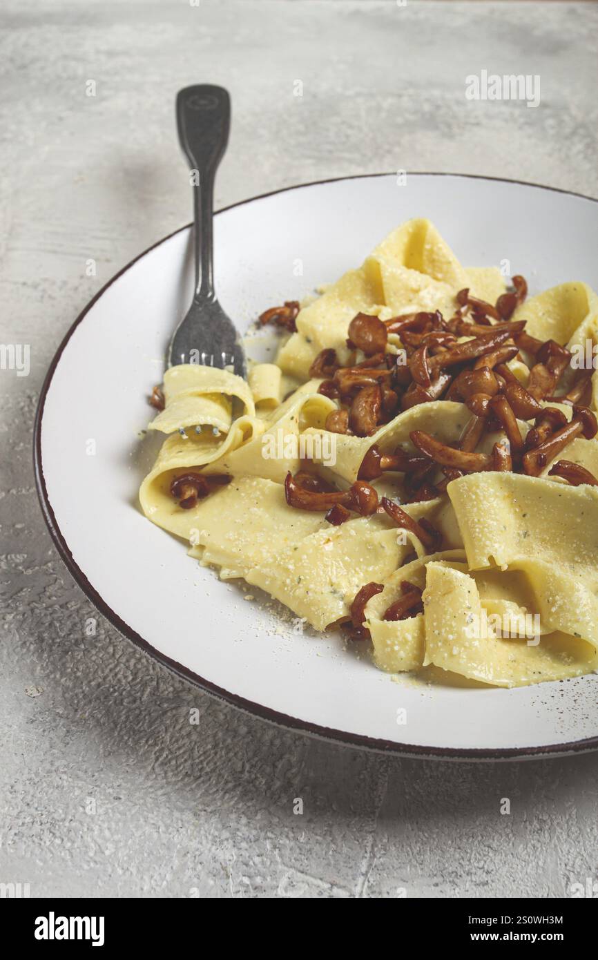 Pasta papardelle, in creamy garlic sauce, with mushrooms, traditional ...