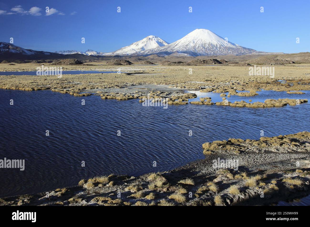 Lauca National Park, Volcanoes, Parinacota, Chile, South America Stock ...